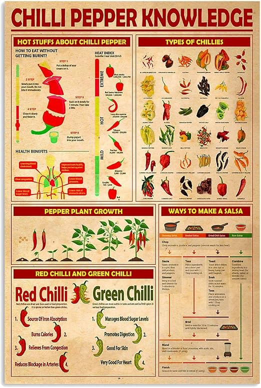 Amazon.com: Chilli Pepper Knowledge Metal Tin Signs Chili Infographics ...
