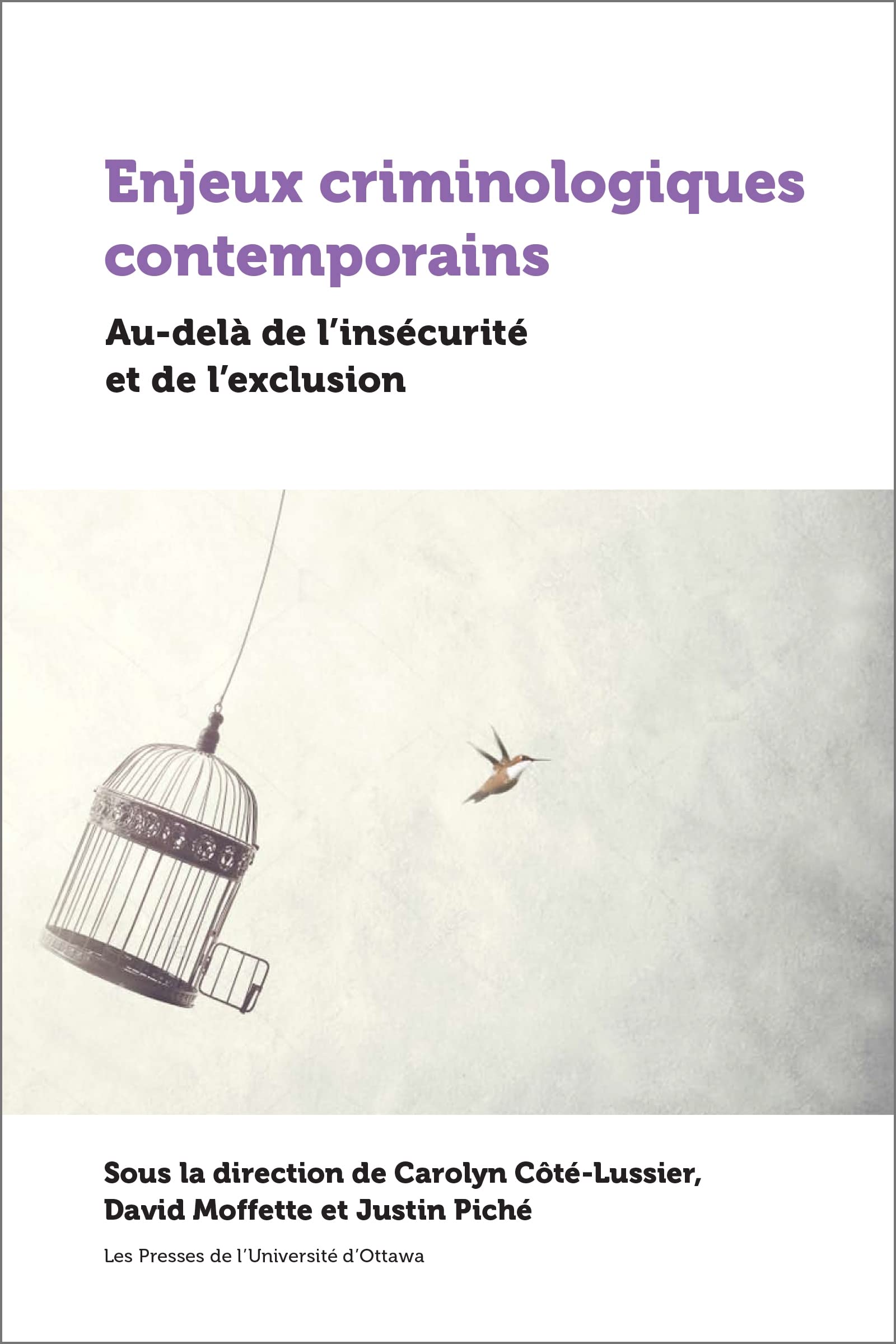 Amazon.com: Enjeux Criminologiques Contemporains: Au-Delà de l ...