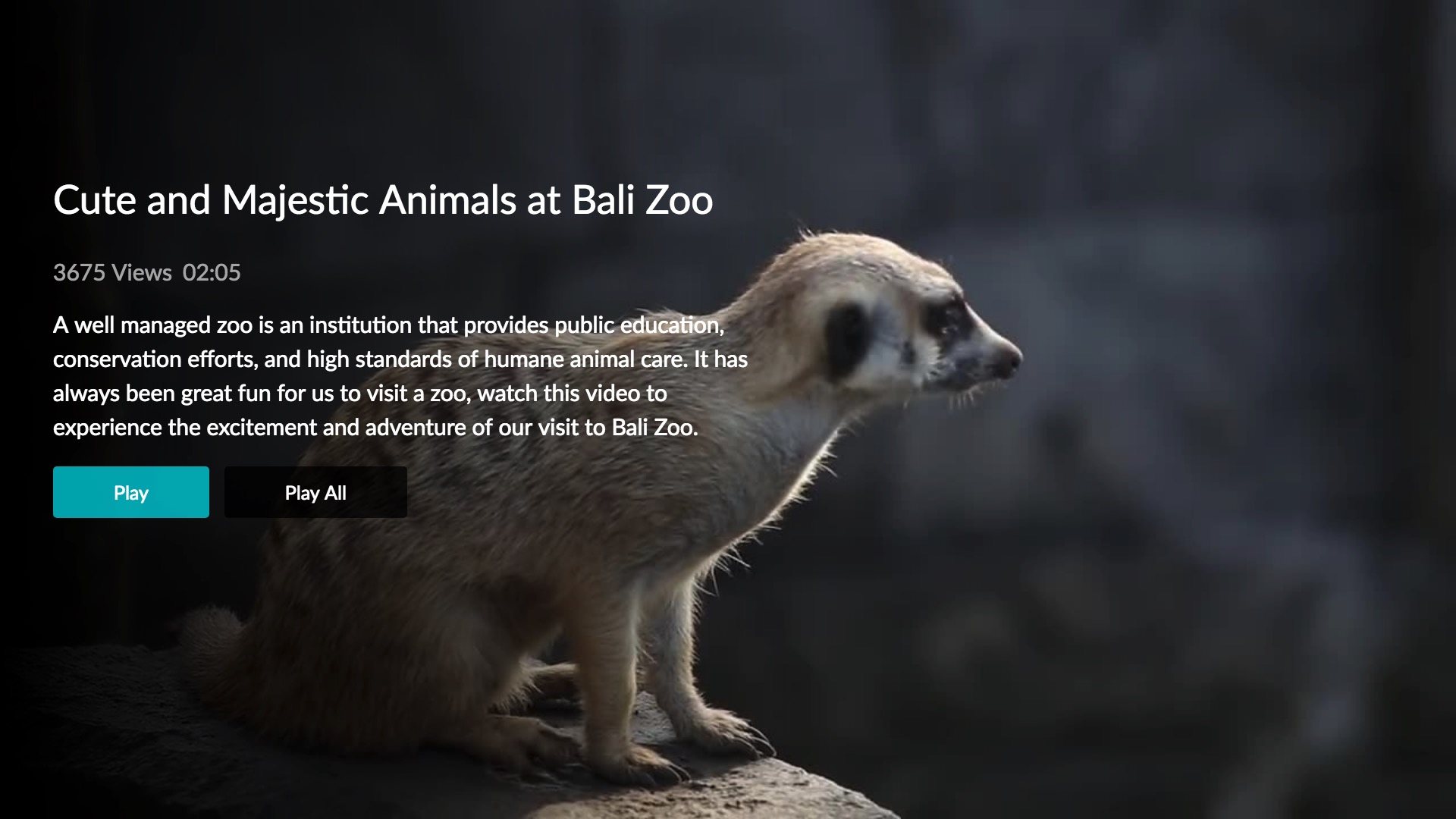 The Bali Channel - App on Amazon Appstore