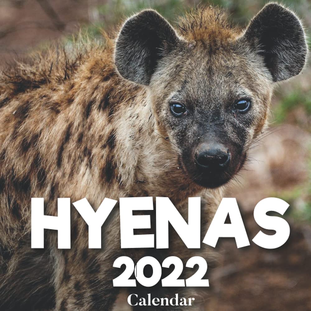 Buy Hyenas 2022: A Monthly and Weekly 12 Months 2022 With Pictures of ...