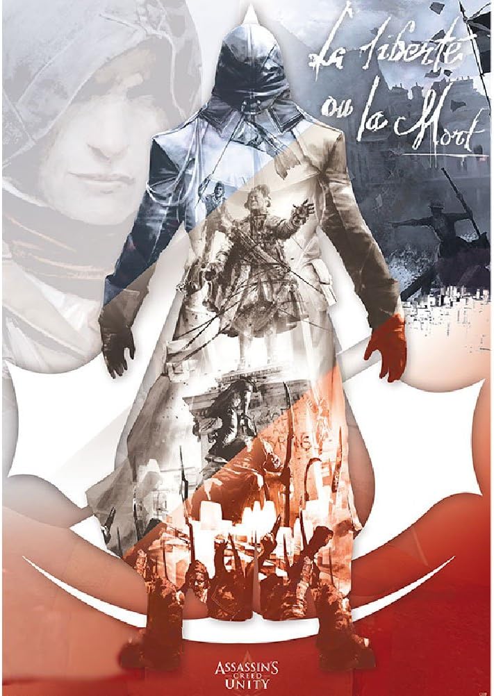 ABYstyle - ASSASSIN'S CREED - AC Unity Poster (91.5x61) : Amazon.co.uk ...