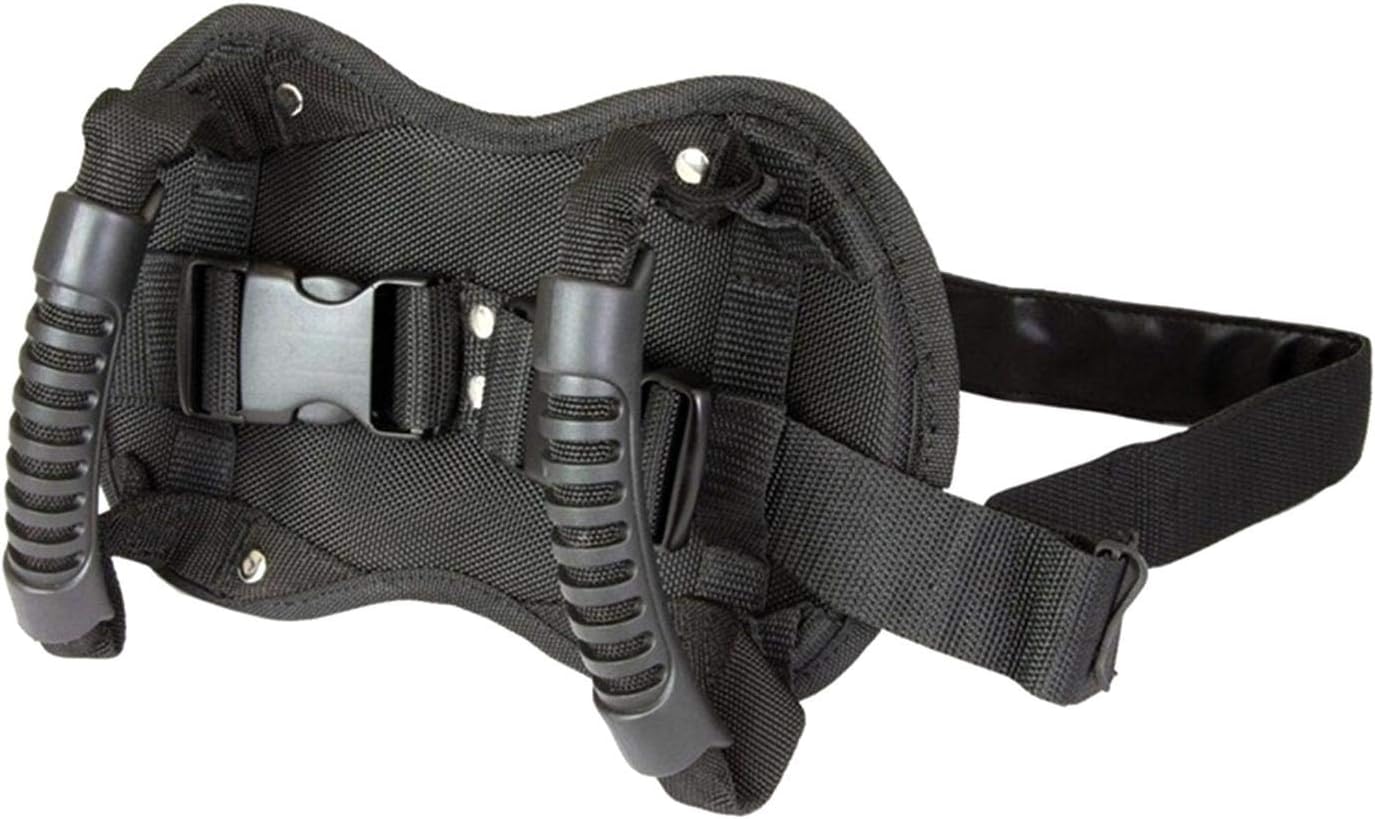 Amazon.com: EKDJKK Motorcycle Rear Seat Handle, Motorcycle Passenger ...