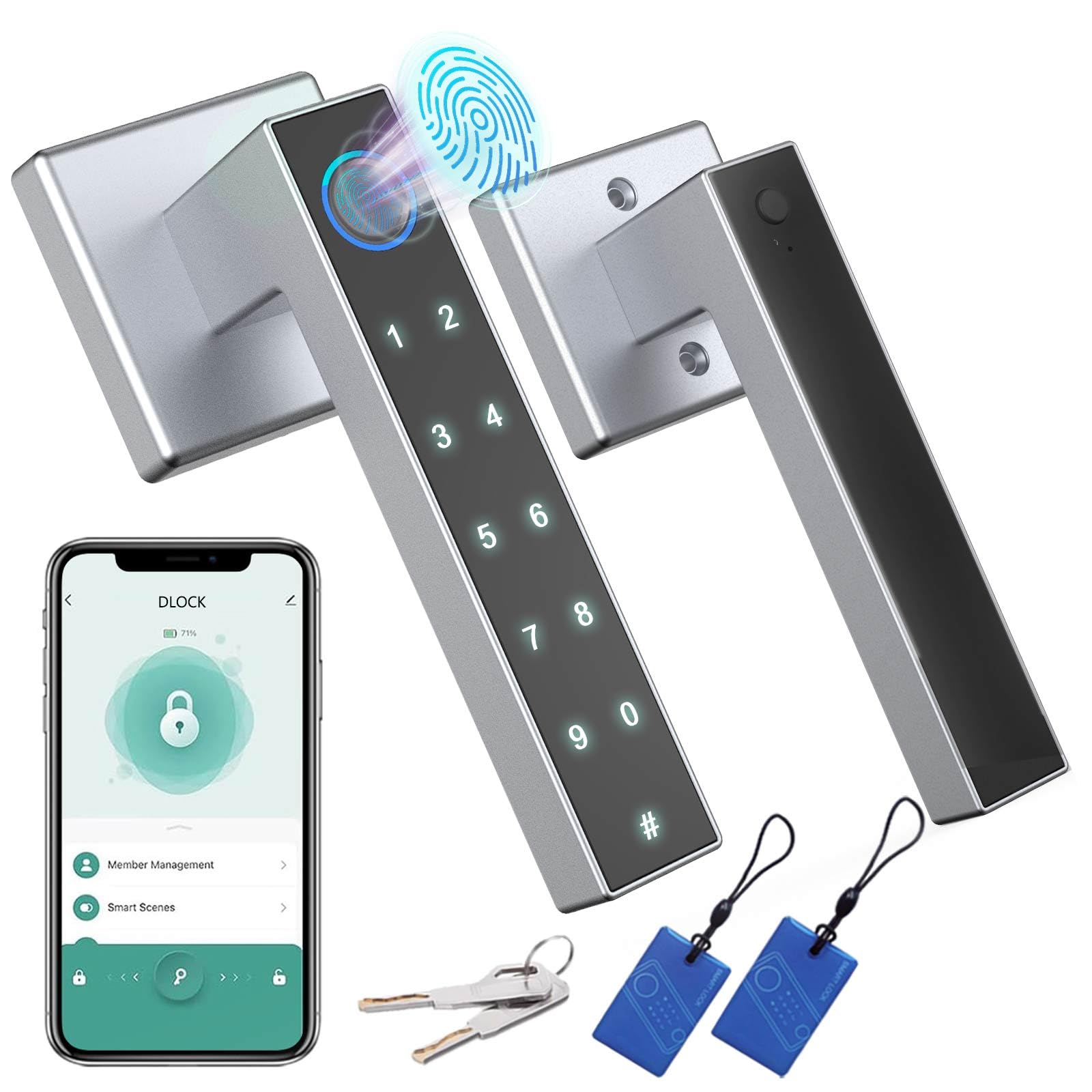 Fingerprint Door Lock, keyless Entry Door Lock with Handle, Smart ...