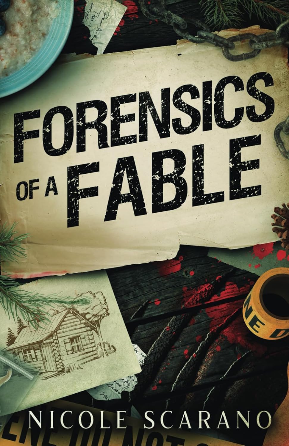 Amazon.com: Forensics of a Fable: A Goldilocks Murder Mystery Romantic ...