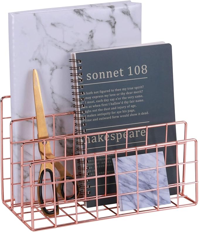 PLINRISE Desktop Letter Sorter, Letter Racks Organizer For Mails Books ...