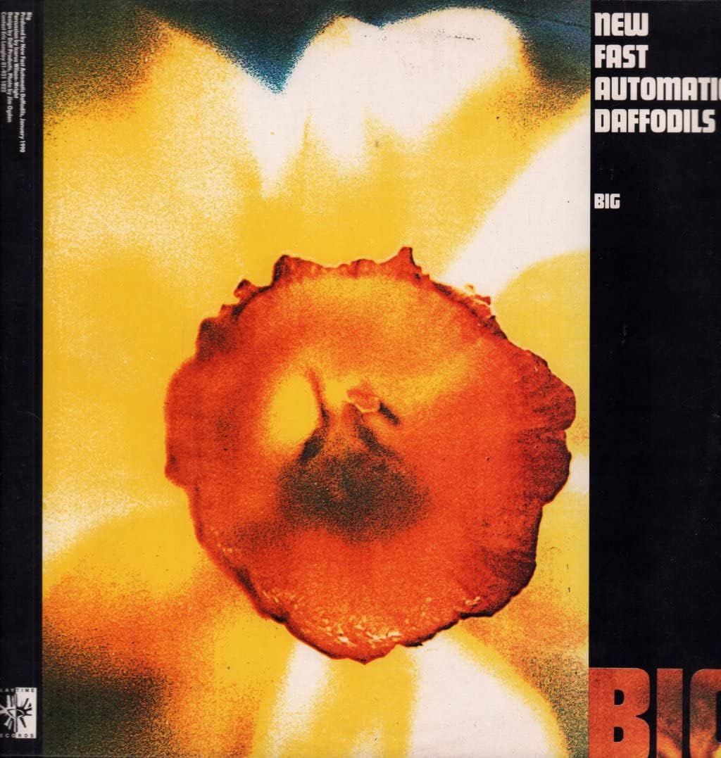 Big by : Amazon.co.uk: CDs & Vinyl