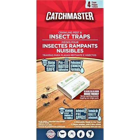 Amazon.com : Catchmaster Spider & Insect Glue Trap - 4 Professional ...
