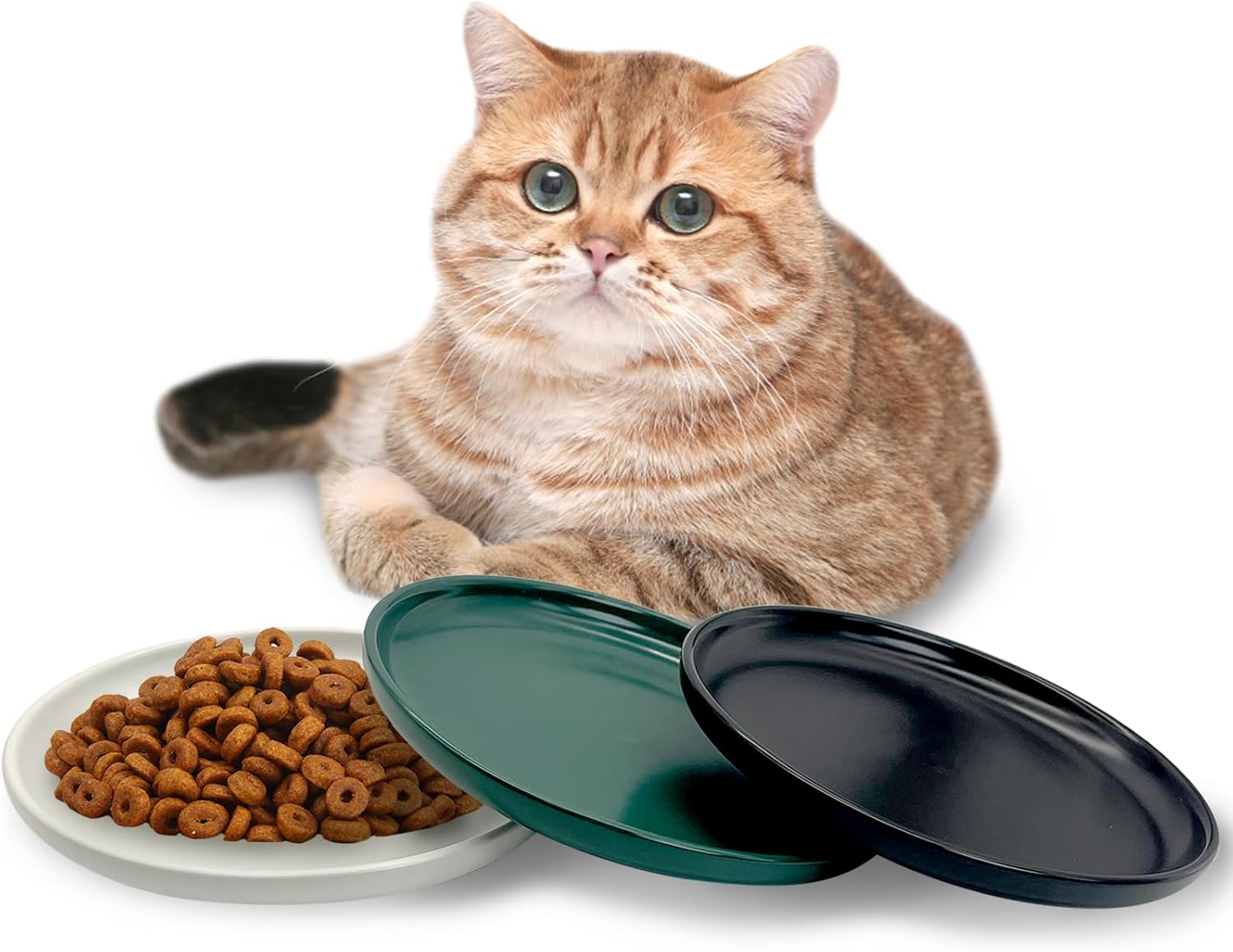 Amazon.com : Fhiny 3PCS Whisker Fatigue Free Shallow Cat Dish, 6 Inch ...