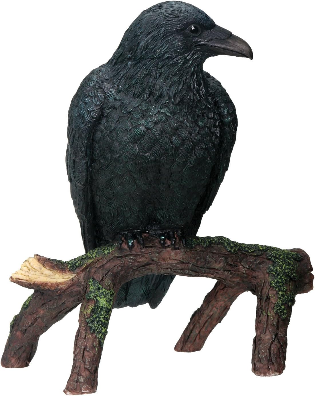 Amazon.com: Large 14" Tall Black Raven Crow Bird on Tree Stump Statue ...