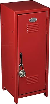 Amazon.com: Rhode Island Novelty 11 Inch Mini Metal Locker, One Piece ...