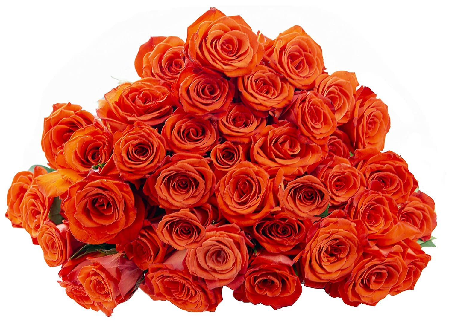 Happy Birthday Orange Roses