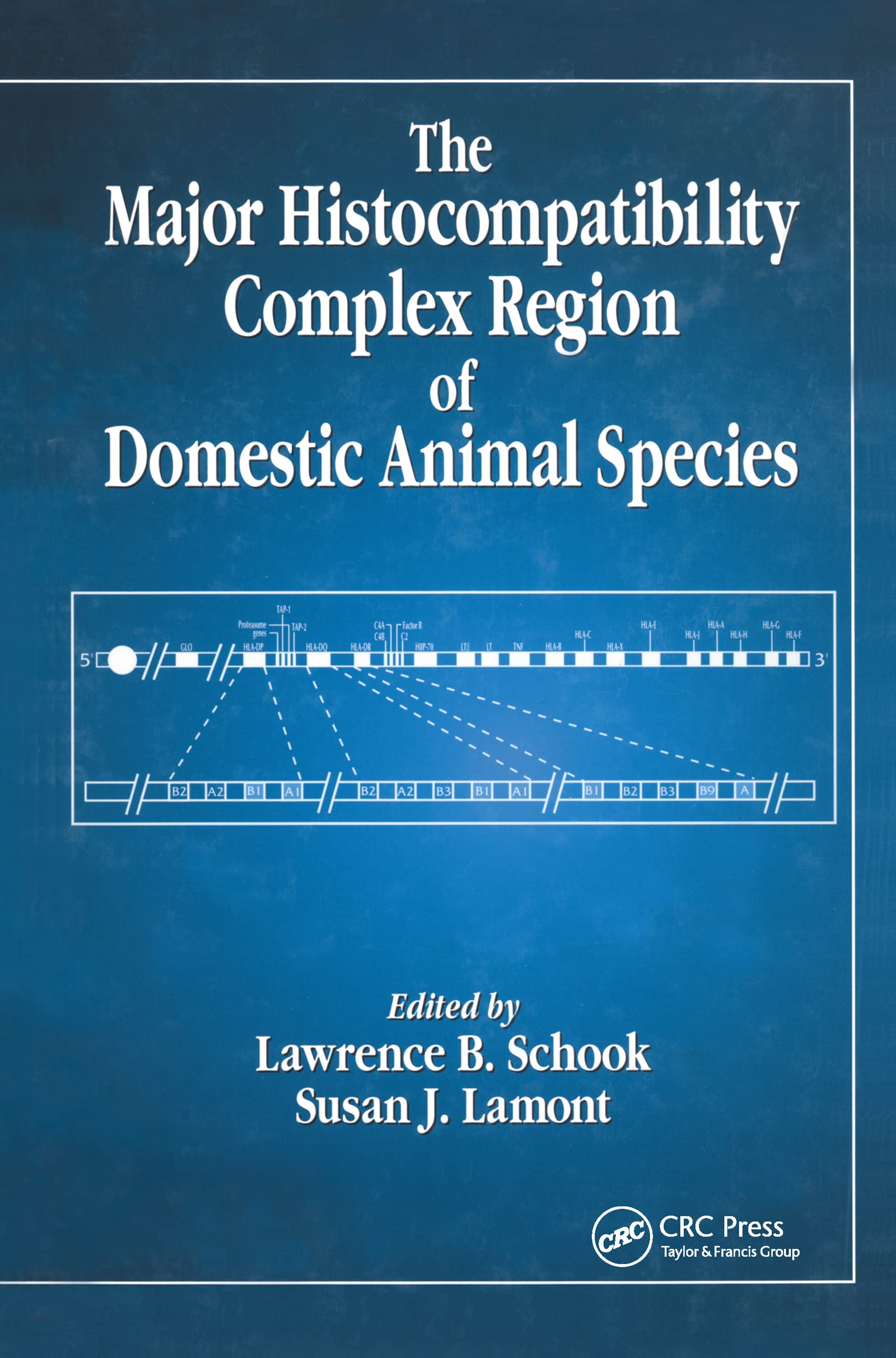 The Major Histocompatibility Complex Region of Domestic Animal Species ...