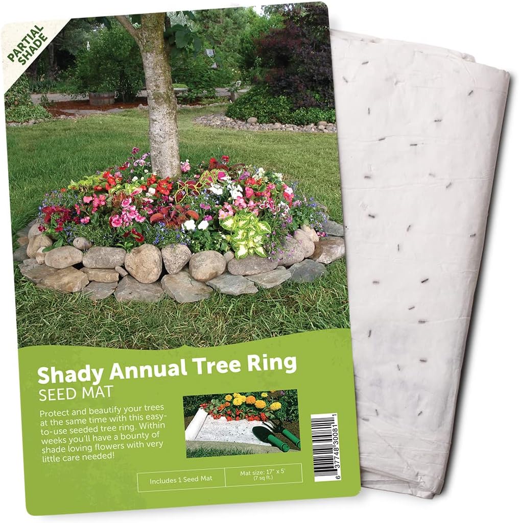 Amazon.com : BloomingBulb Seed Mat - Easy to Plant and Grow Garden ...