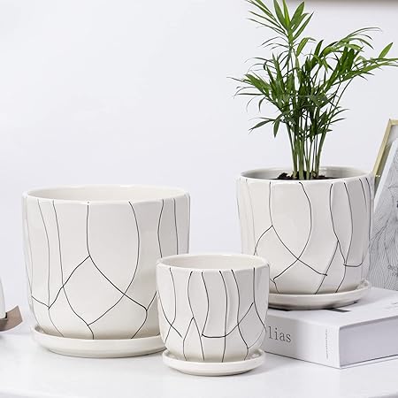 Amazon.com : Octagon Ceramic Plant Pots - Indoor White Flower Planter ...