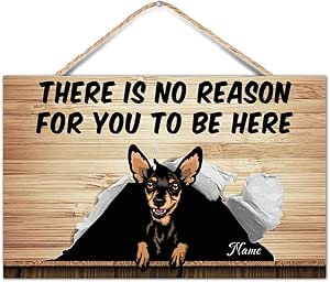 Amazon.com: There Is No Reason for You to Be Here Rustic Wood Sign ...