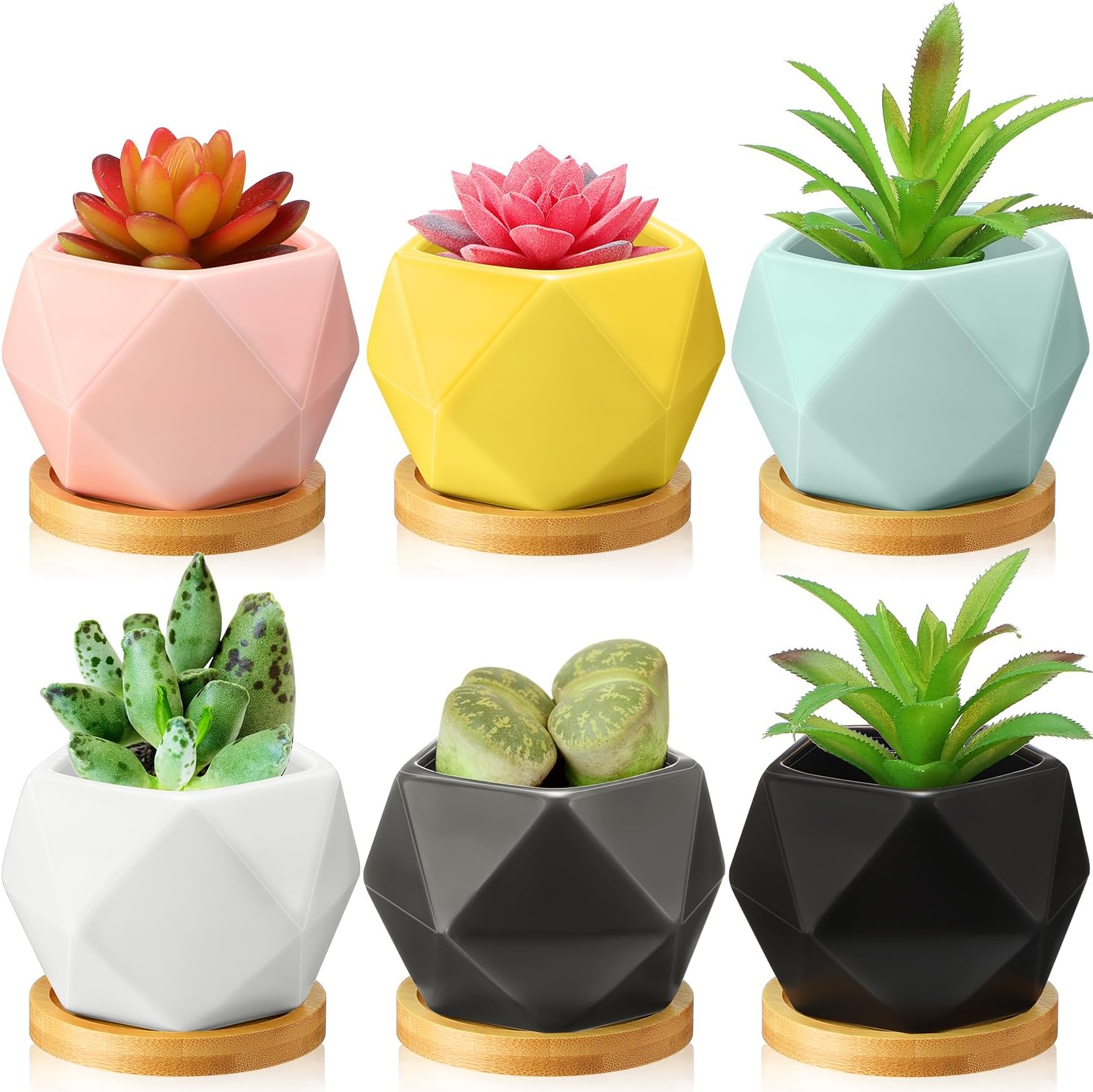 Amazon.com : Maxcheck 6 Pack Small Ceramic Succulent Pots with Drainage ...