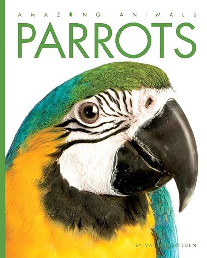 Amazing Animals: Parrots: Bodden, Valerie: 9780898128253: Amazon.com: Books