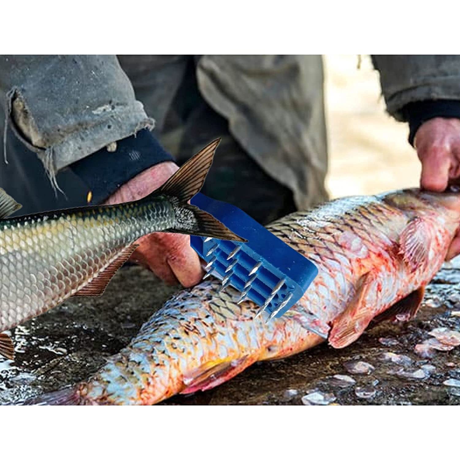 Jayam Traditional Scrapper Scaler Cutter Cleaning Tools Pack of 2 ...