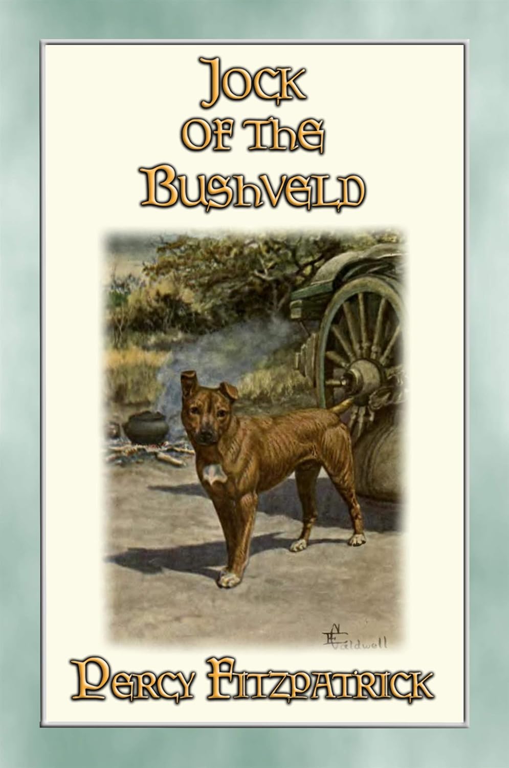 JOCK OF THE BUSHVELD - The Classic African Children's Story eBook : Sir ...