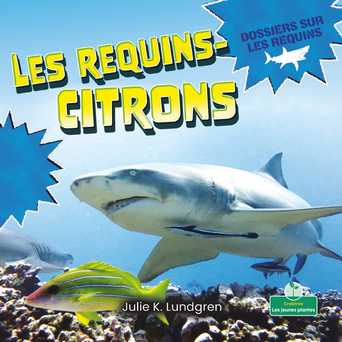 Les Requins-citrons/ Lemon Sharks (Dossiers sur les requins/ Shark ...