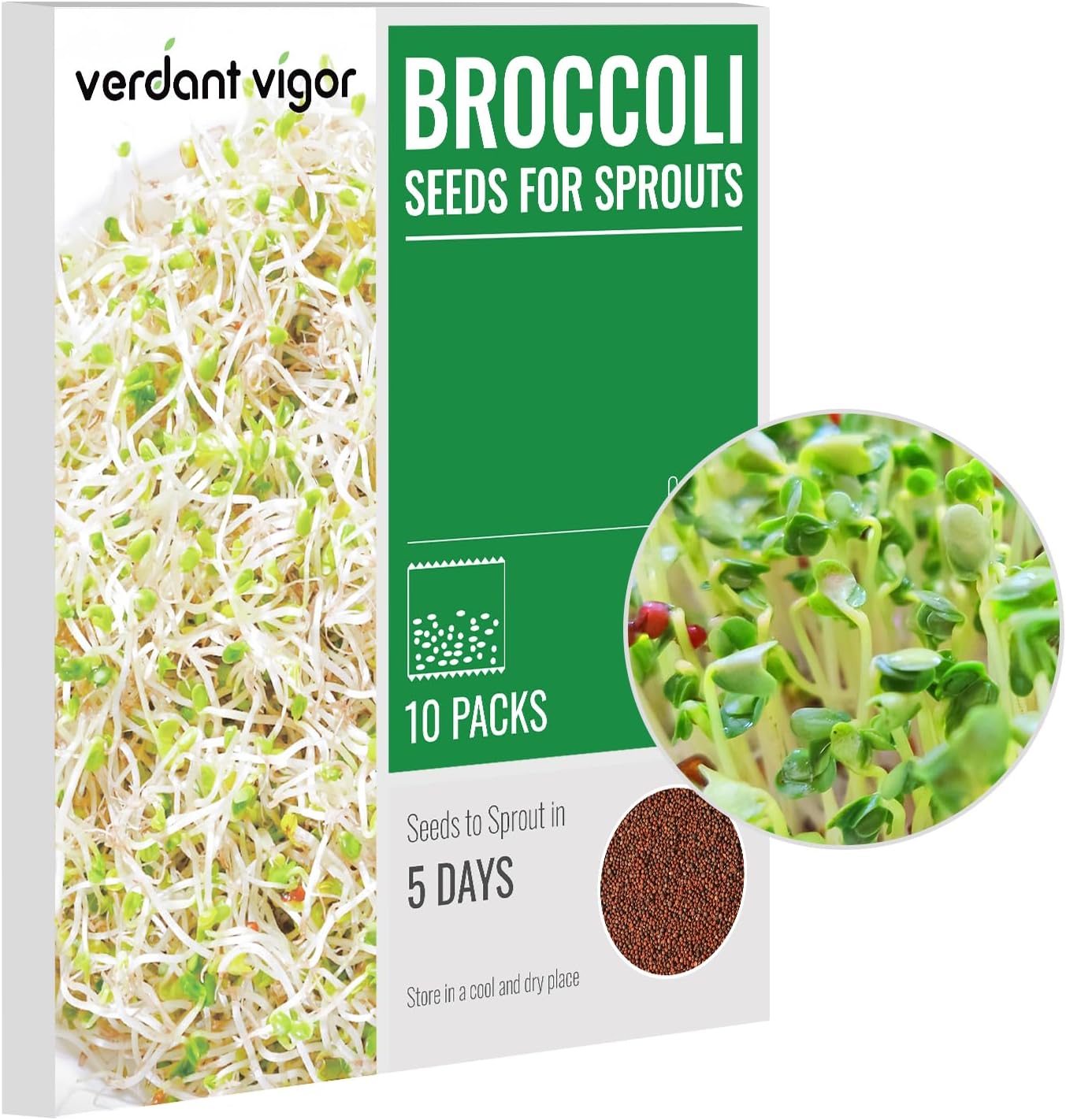 Amazon.com : Verdant Vigor Sprouting Seeds, Broccoli Sprouts Seed, Non ...