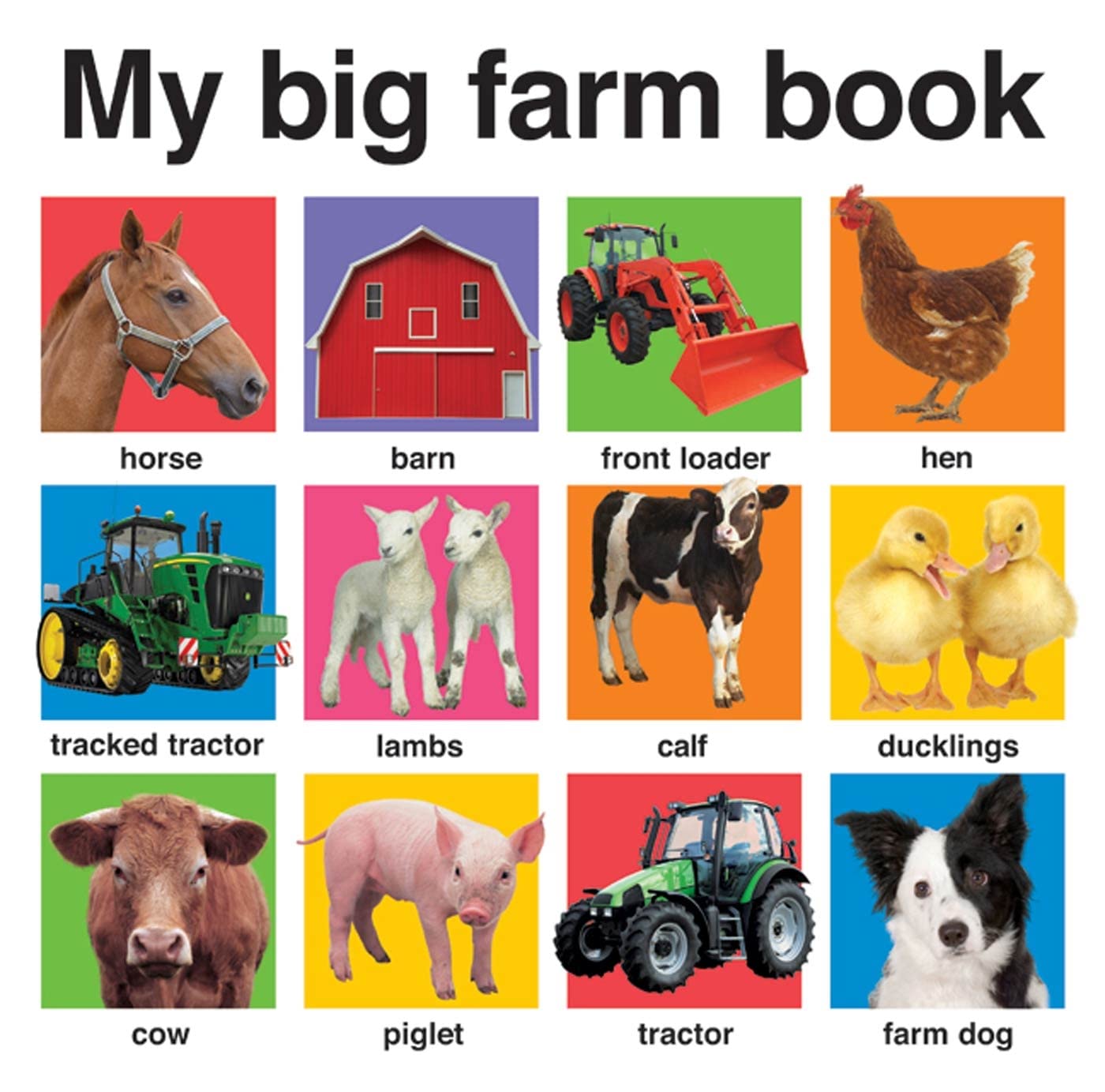 My Big Farm Book (My Big Board Books): Priddy, Roger: 9780312510824 ...