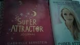 Super Attractor Journal: Amazon.co.uk: Bernstein, Gabrielle, Ezra ...