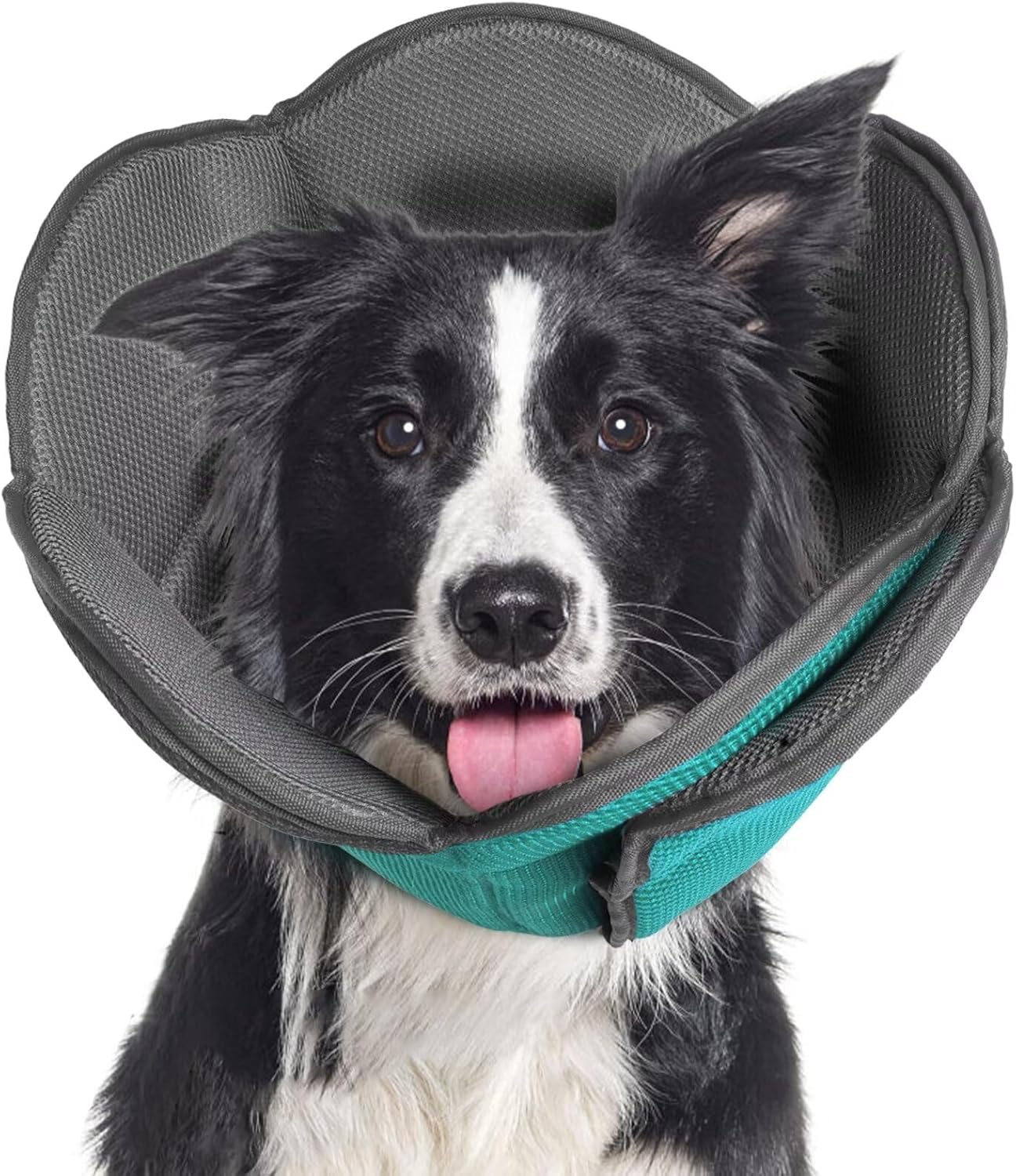 Amazon.com : Dog Cone for Dogs After Surgery,Adjustable Protective Dog ...