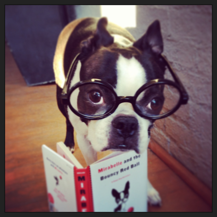 Amazon.com: Michael Muller: books, biography, latest update