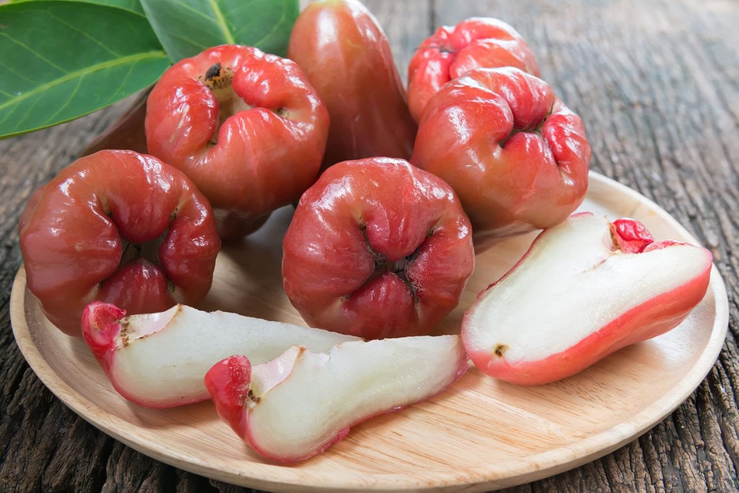 The Gifti® Exotic Tropical Fruit Rose Water Apple or Wax Apple Jamrul ...