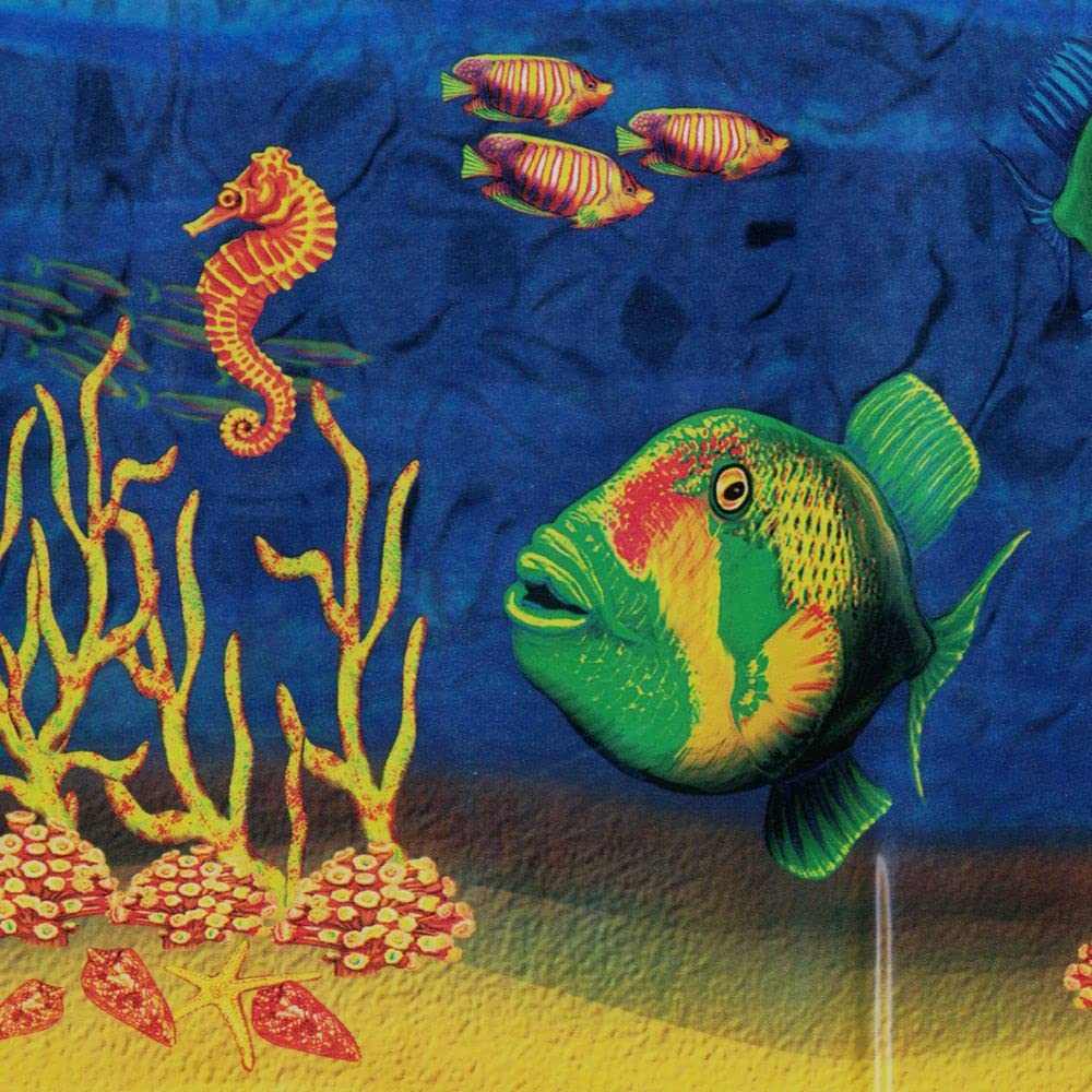 Fish Wallpaper Borders Dundee Deco Falkirk Brin Fish In Rows Gold,
