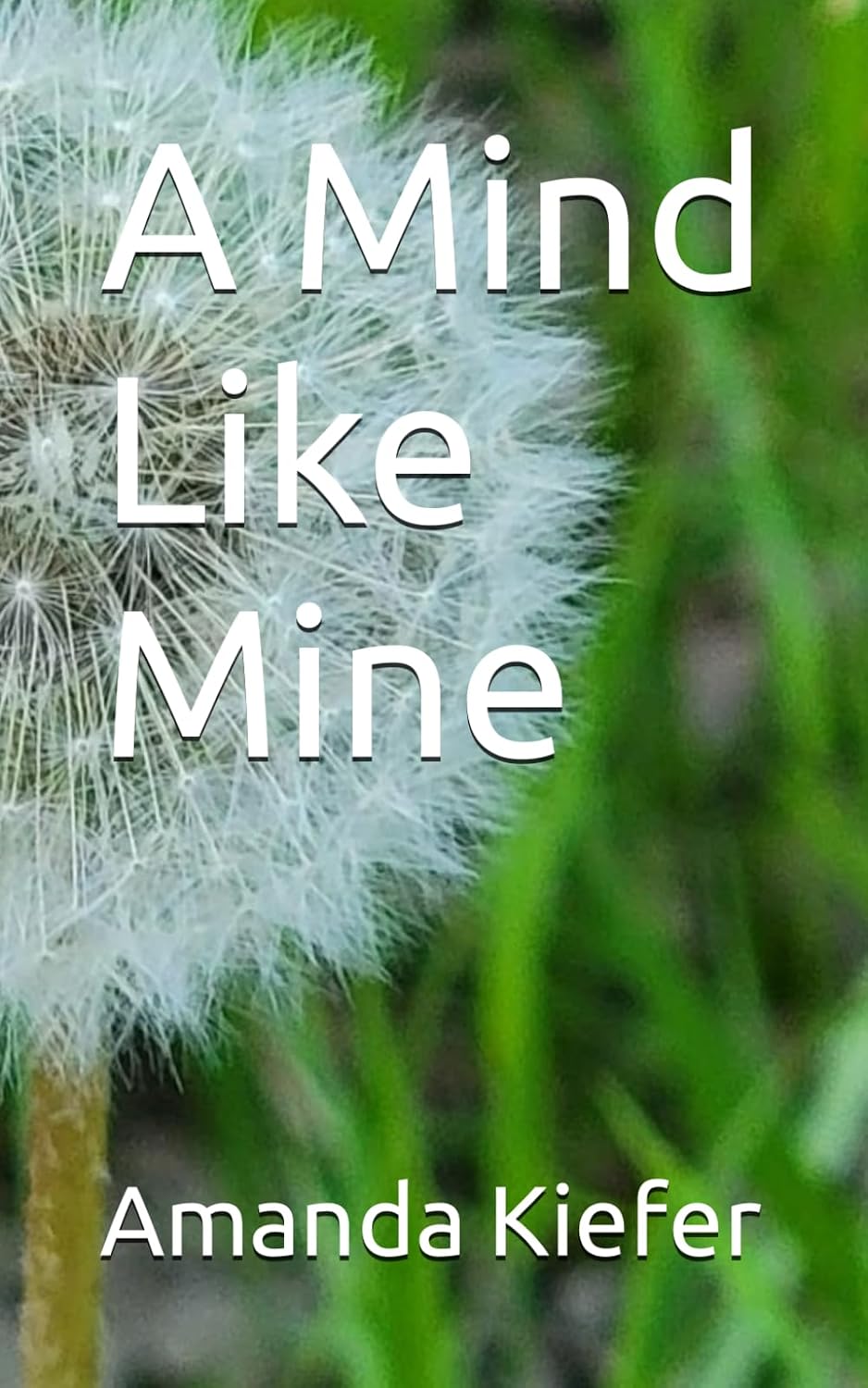 A Mind Like Mine: Kiefer, Amanda Virginia: 9798871373491: Amazon.com: Books