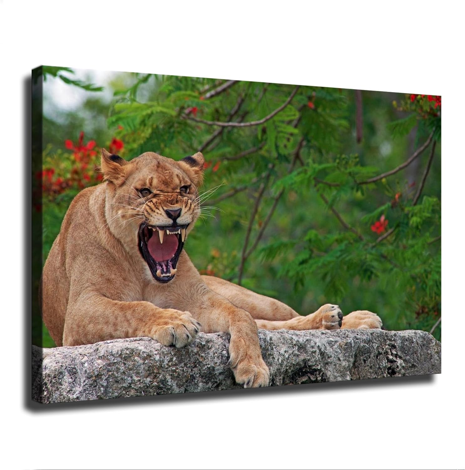 Amazon.com: EsaSam Angry Puma On A Rock Poster Decorative Painting ...