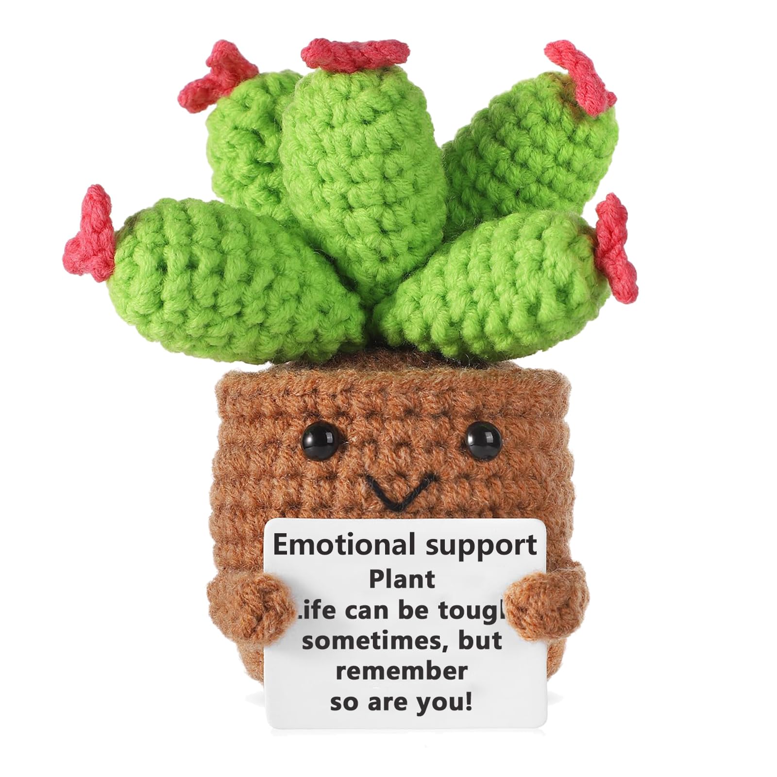 JBLJDWD Emotional Support Gift, Positive Gifts, Portable Emotional ...