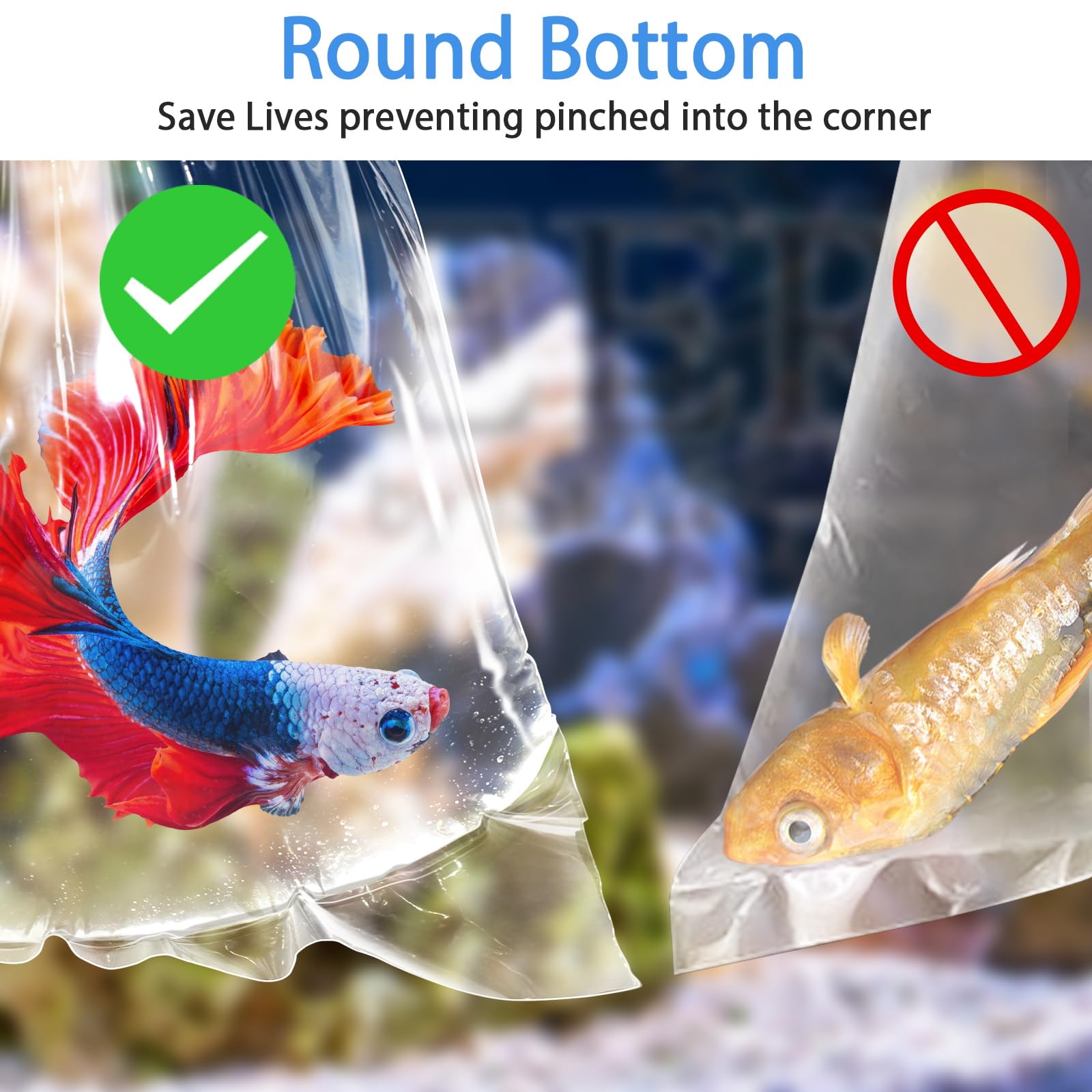 Snapklik.com : Live Fish Bags, 10x20” Round Bottom Double Seal Clear ...