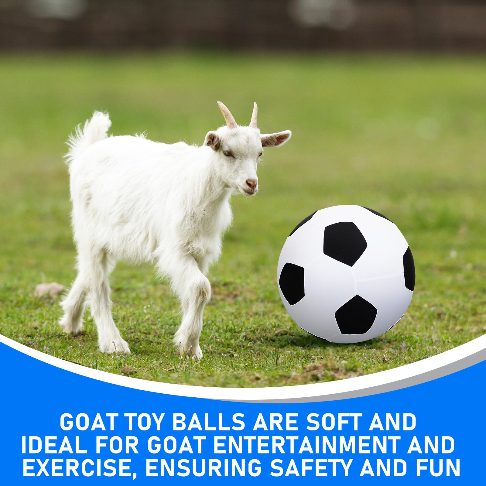 Goat Balls