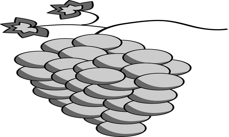 Colocasia Leaves Recipe Alu Chi Patal Bhaji - Aplicativo na Amazon Appstore