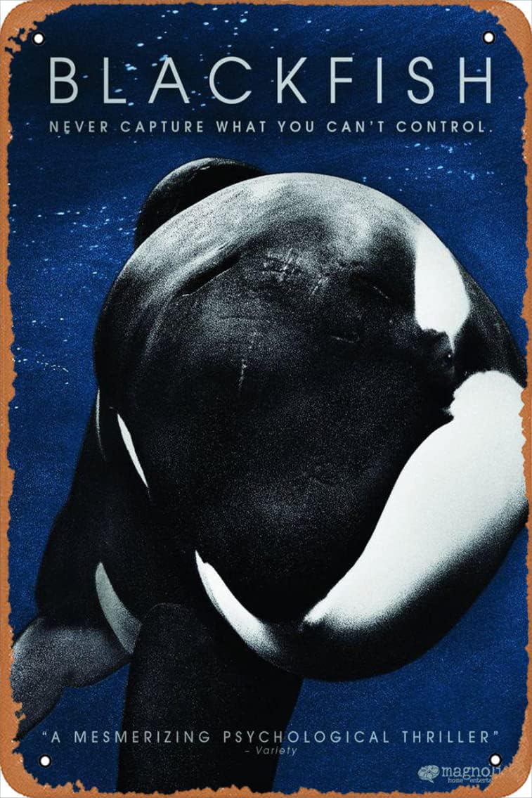 Amazon.com: CLASSIC DECOR Poster Movie Vintage Blackfish, Whale ...