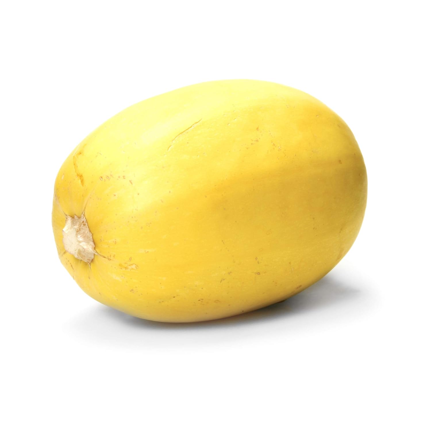 Amazon.com: Spaghetti Squash : Grocery & Gourmet Food