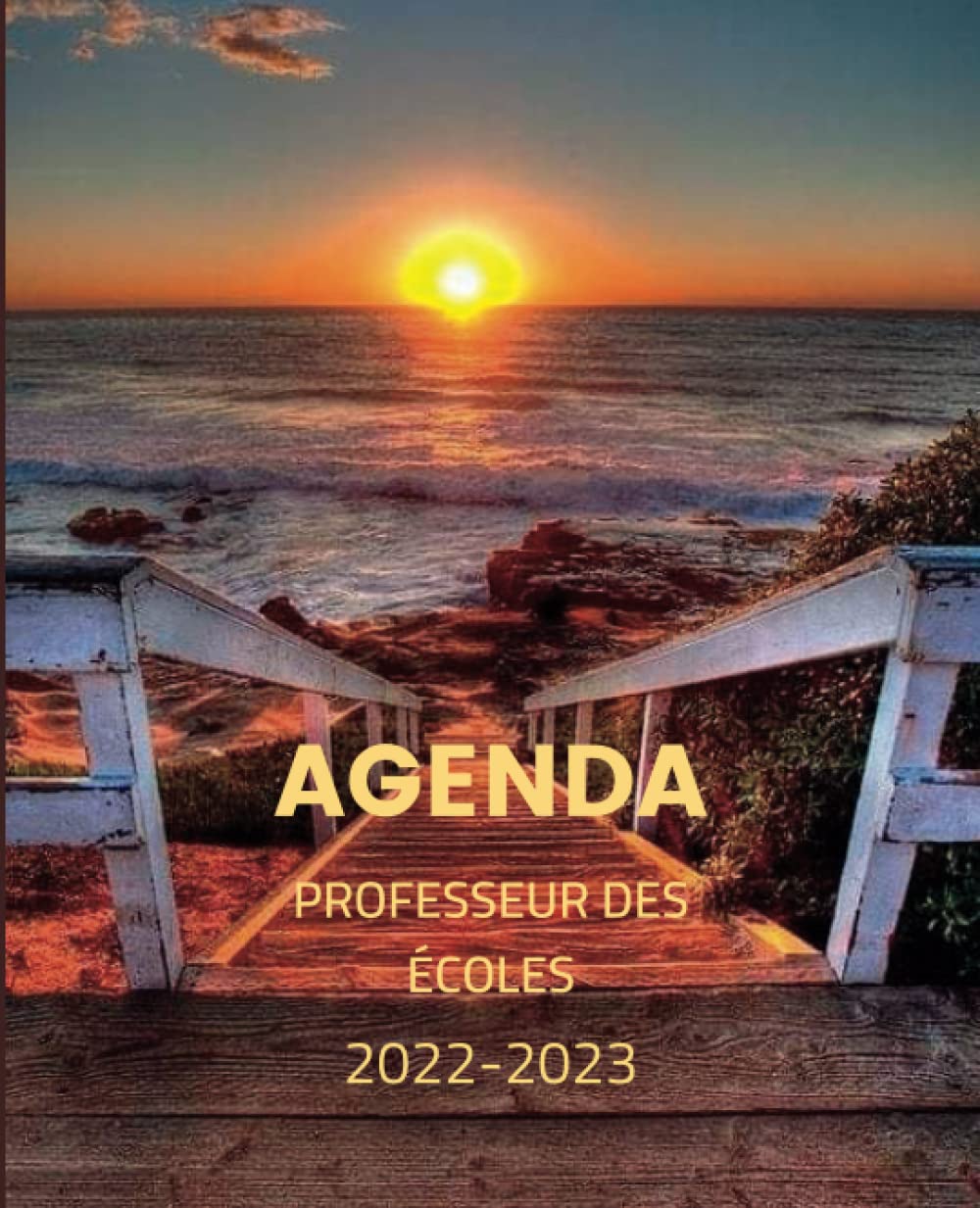 Buy Agenda professeur des écoles 2022 2023: Carnet de bord enseignant ...