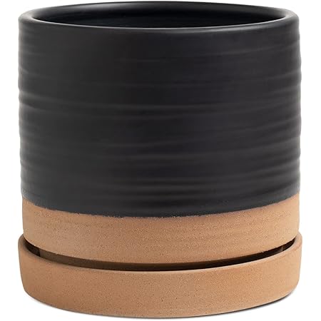 Amazon.com: 6 Inch Pot Perfect for Indoor Planter Pots- This Ceramic ...