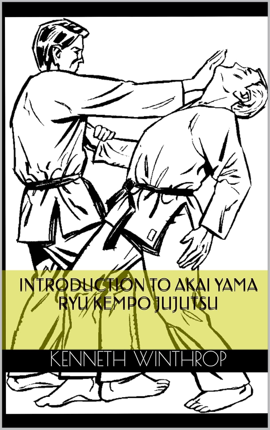 Amazon.com: Introduction to Mi Yama Ryu Kempo JuJutsu eBook : Winthrop, Kenneth: Kindle Store