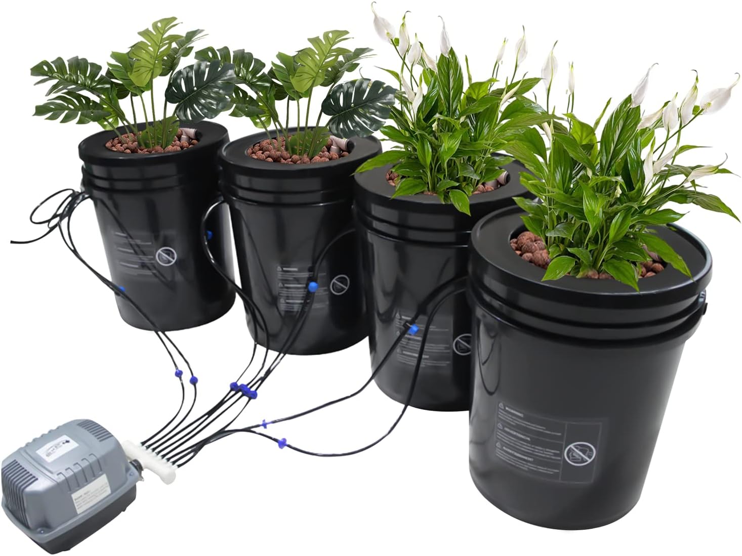 Amazon.com : Hydroponics Growing System Garden System 5-Gallon Deep ...