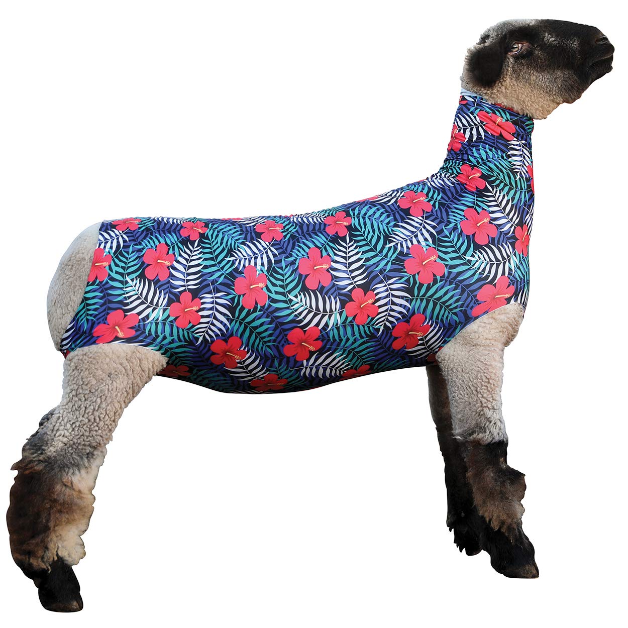 Weaver Livestock Spandex Goat Tube, Large : Amazon.in: Pet Supplies