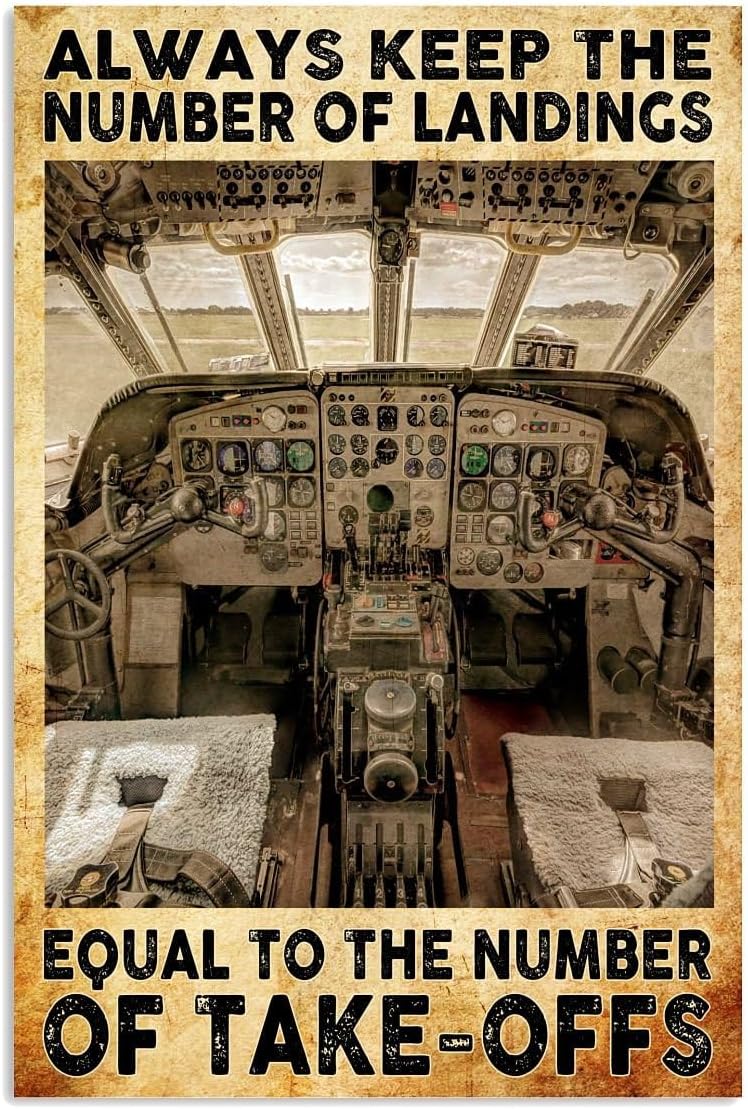 Amazon.com: 1000 Pieces Jigsaw Puzzle Pilot Always Keep The Number of ...