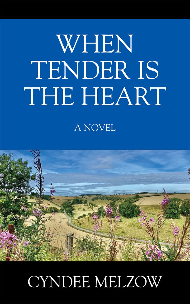 When Tender is the Heart: A Novel - Kindle edition by Melzow, Cyndee . Literature & Fiction ...