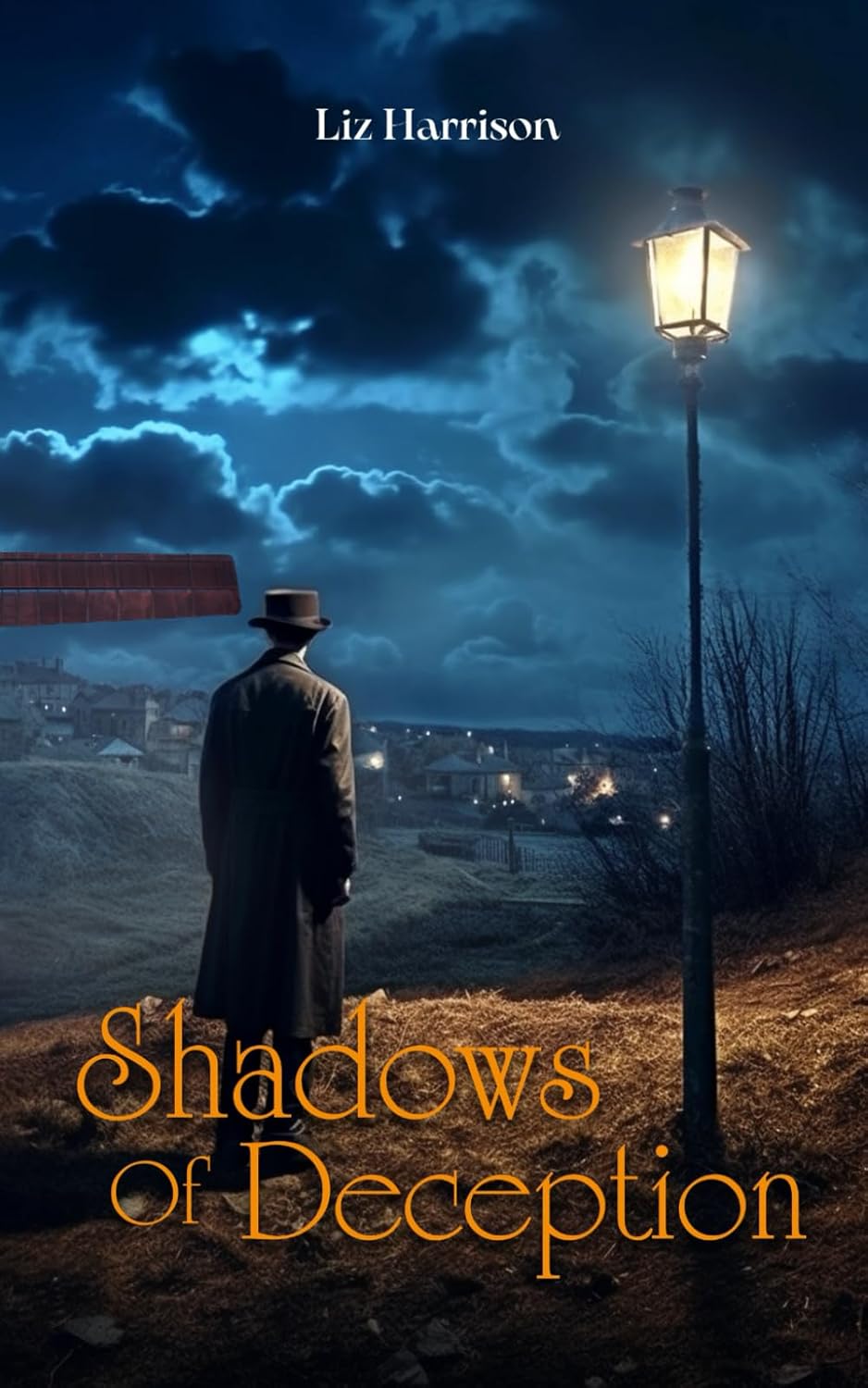 Shadows of Deception: Amazon.co.uk: Harrison, Liz: 9781916798878: Books