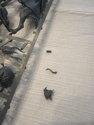 Amazon.com: Games Workshop - Warhammer - Age of Sigmar - Skaventide ...