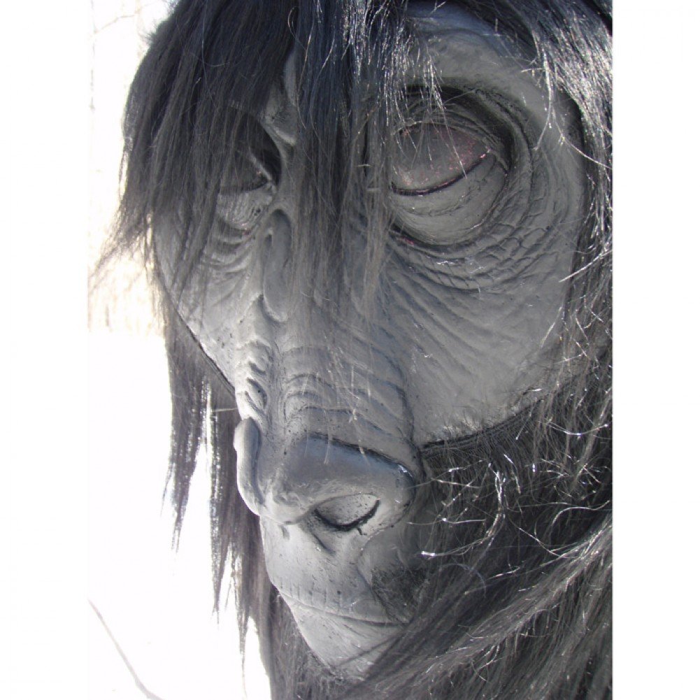 Monsterquest: Ghost [USA] [DVD]: Amazon.es: Monsterquest: Películas y TV