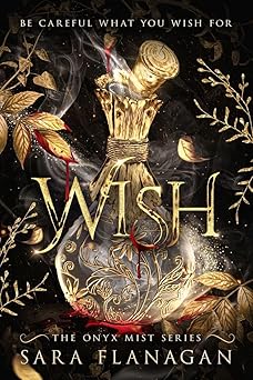 Amazon.com: Wish (The Onyx Mist Series Book 1): A Dark Fantasy Romance ...